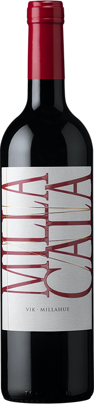 2021 vik "omega" cabernet, chile